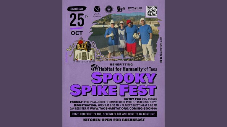 Spooky Spike Fest - Habitat for Humanity V-Ball Tournament