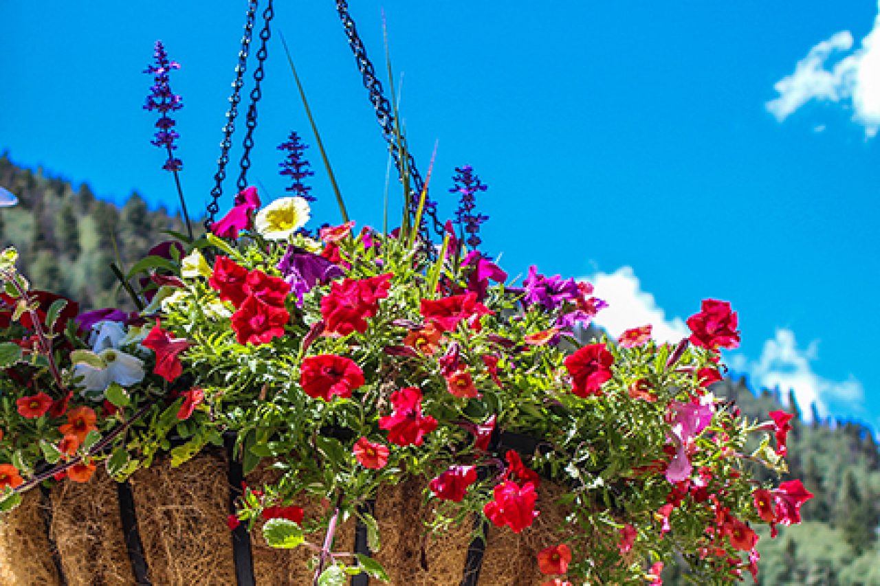 Oktoberfest - Fall Festivals Here to Stay | Taos Ski Valley