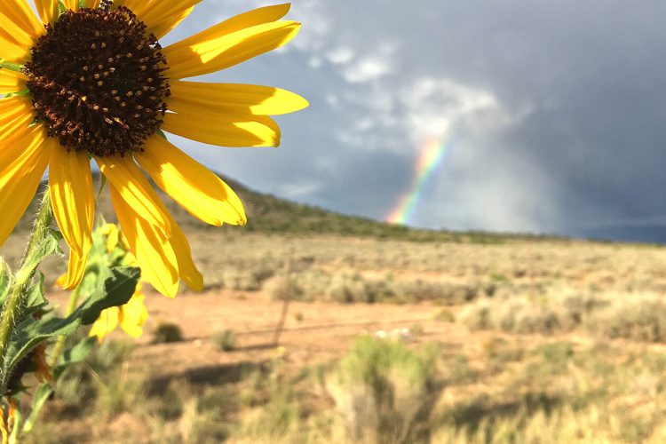 Oktoberfest - Fall Festivals Here to Stay | Taos Ski Valley